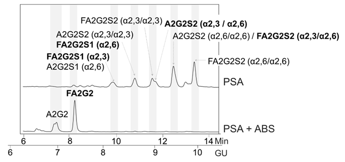 Improvement of Prostate Cancer Diagnosis by Detecting PSA Glycosylation ...