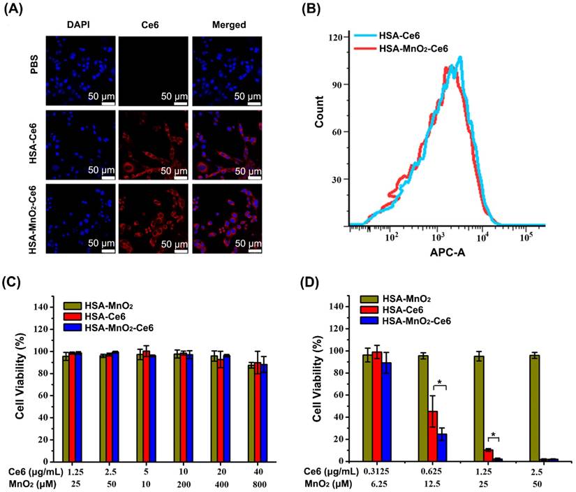 O2-generating MnO2 nanoparticles for enhanced photodynamic therapy of ...