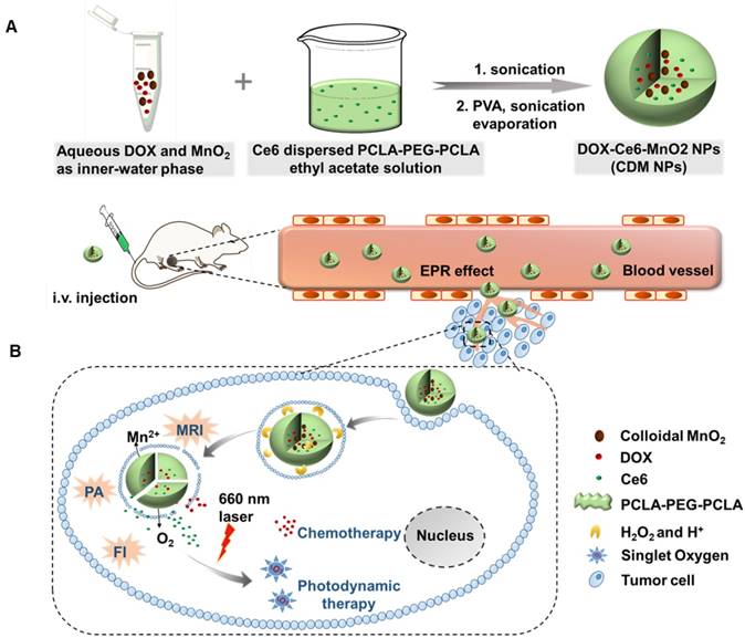 Oxygen-generating Hybrid Polymeric Nanoparticles with Encapsulated ...