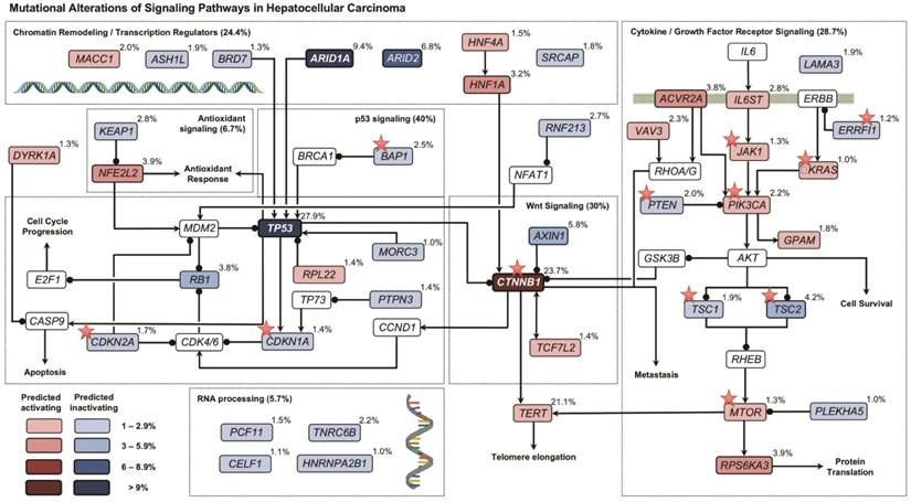 Genomic analysis of liver cancer unveils novel driver genes and ...