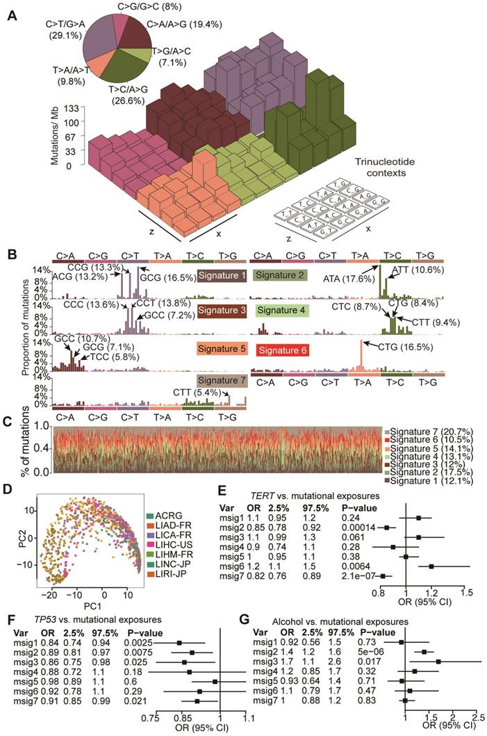 Genomic analysis of liver cancer unveils novel driver genes and ...