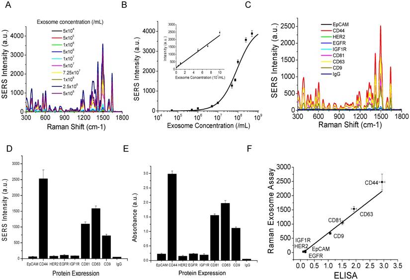 Molecular Detection and Analysis of Exosomes Using Surface-Enhanced ...
