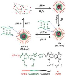 Endogenous pH-responsive nanoparticles with programmable size changes ...