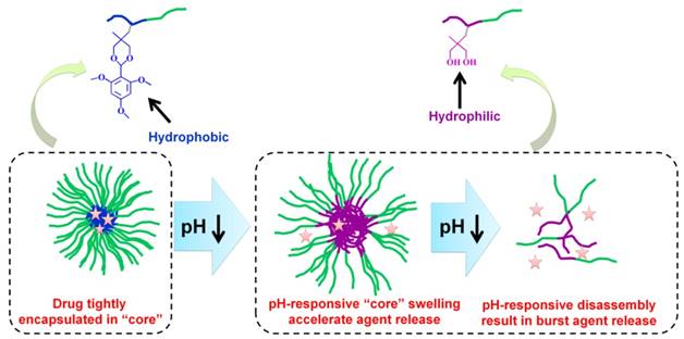 Endogenous pH-responsive nanoparticles with programmable size changes ...