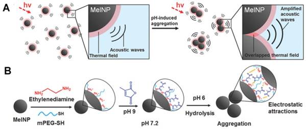 Endogenous pH-responsive nanoparticles with programmable size changes ...