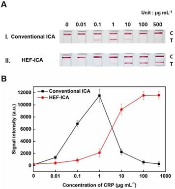 A hook effect-free immunochromatographic assay (HEF-ICA) for measuring ...