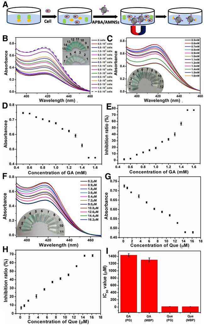 Colorimetric in situ assay of membrane-bound enzyme based on lipid ...