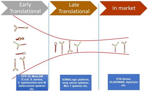 Aptamers in the Therapeutics and Diagnostics Pipelines