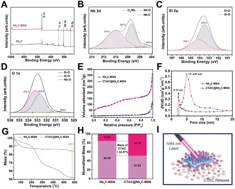 Therapeutic mesopore construction on 2D Nb2C MXenes for targeted and ...