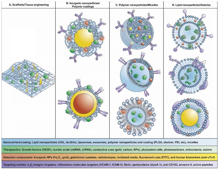 Nanoparticles for diagnosis and therapy of atherosclerosis and ...