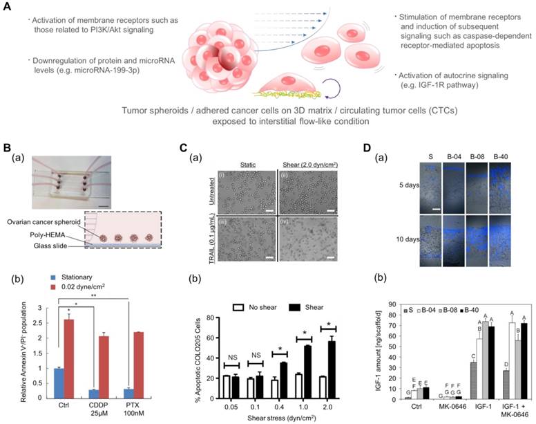 Chemoresistance of Cancer Cells: Requirements of Tumor Microenvironment ...