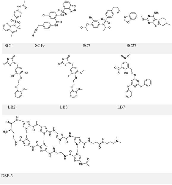 EBNA1-targeted inhibitors: Novel approaches for the treatment of ...