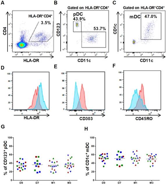 Injection of Adipose-Derived Stromal Cells in the Knee of Patients with ...