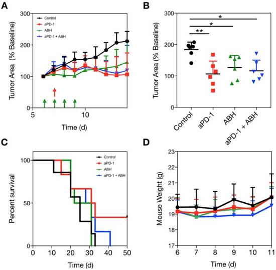 Arg1 expression defines immunosuppressive subsets of tumor-associated ...