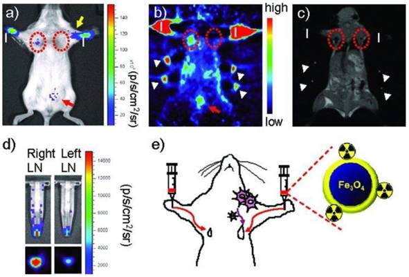 PET-MR and SPECT-MR multimodality probes: Development and challenges