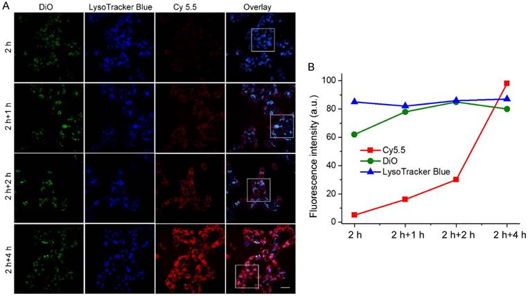 Redox Dual-Responsive and O2‑Evolving Theranostic Nanosystem for Highly ...