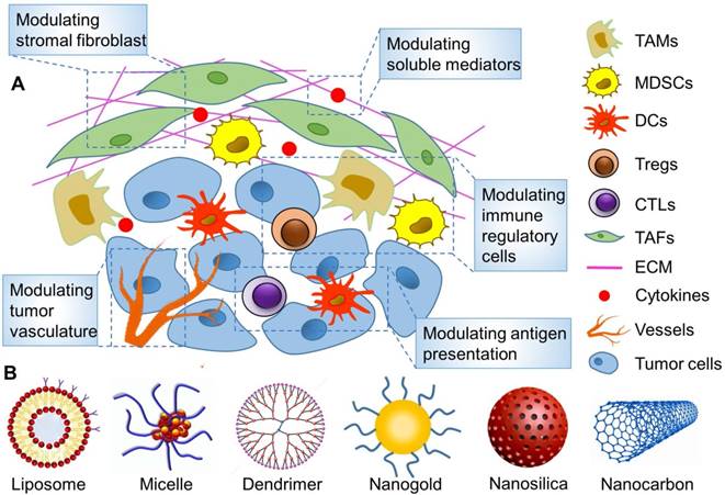 Engineering Nanoparticles for Targeted Remodeling of the Tumor ...