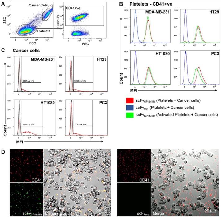 Activated platelets in the tumor microenvironment for targeting of ...