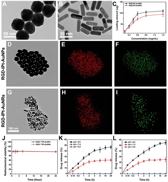 Tumor Chemo-Radiotherapy with Rod-Shaped and Spherical Gold Nano Probes ...
