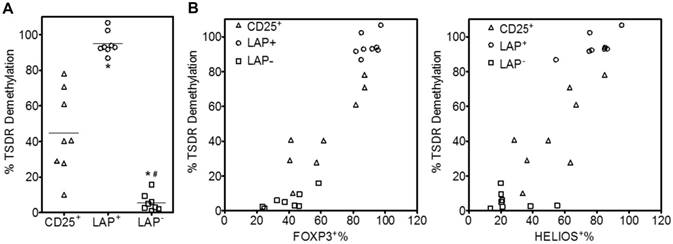 Human LAP+GARP+FOXP3+ regulatory T cells attenuate xenogeneic graft ...