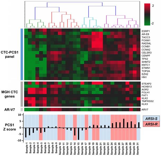 A Circulating Tumor Cell-RNA Assay for Assessment of Androgen Receptor ...