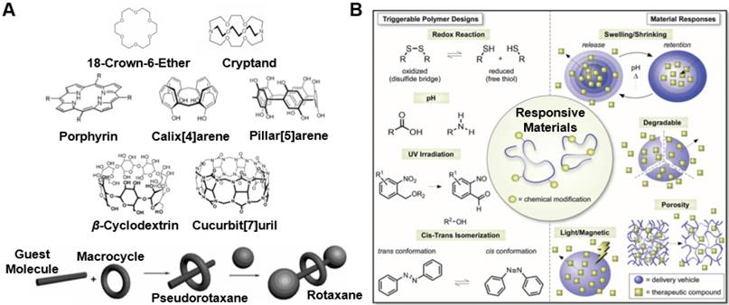 Integrating Stimuli-Responsive Properties in Host-Guest Supramolecular ...