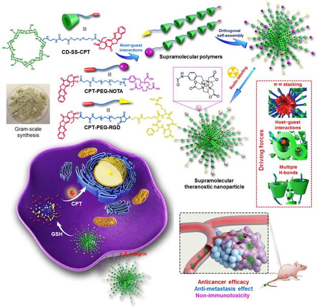Host-Guest Chemistry in Supramolecular Theranostics