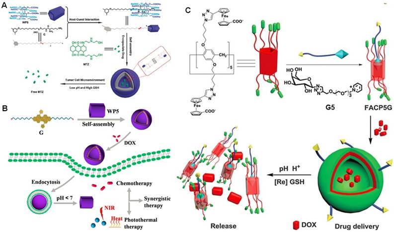 Host-Guest Chemistry in Supramolecular Theranostics