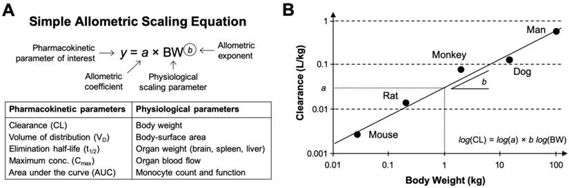 Research tools for extrapolating the disposition and pharmacokinetics ...