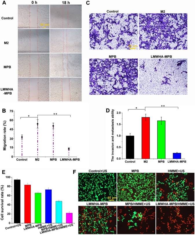 An in situ microenvironmental nano-regulator to inhibit the ...