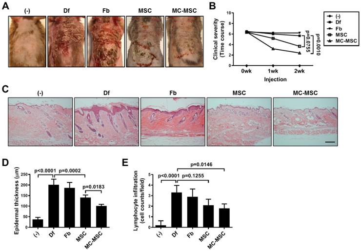 Disease-specific primed human adult stem cells effectively ameliorate ...