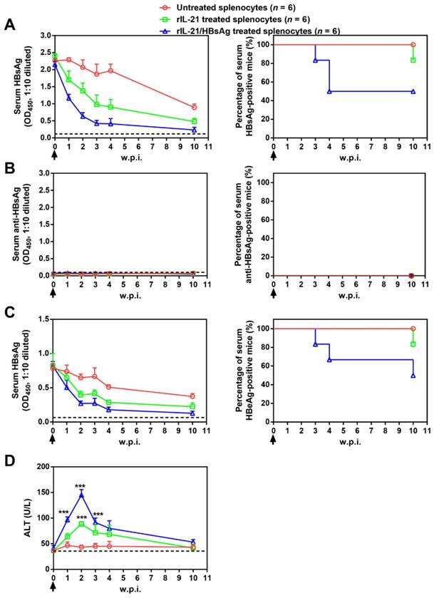IL-21-based therapies induce clearance of hepatitis B virus persistence ...