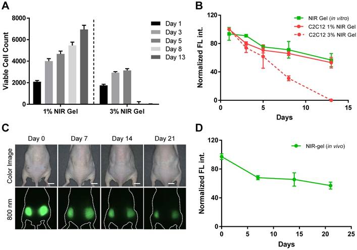 Dual-Channel Fluorescence Imaging of Hydrogel Degradation and Tissue ...