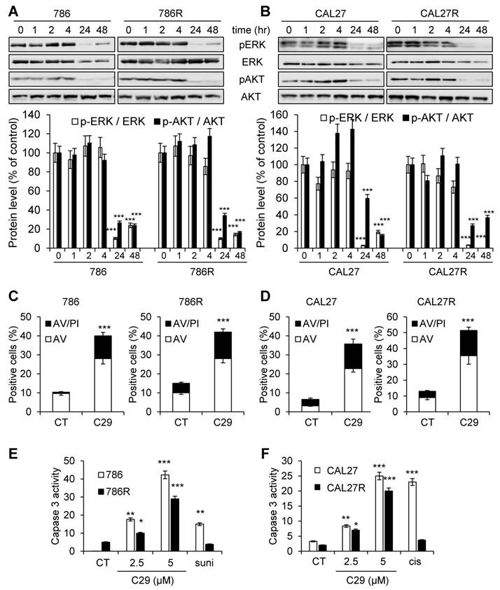 New CXCR1/CXCR2 inhibitors represent an effective treatment for kidney ...