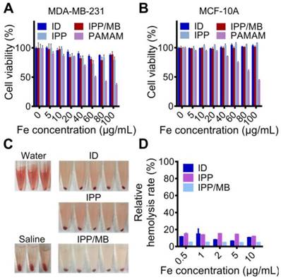 Dendrimer-Functionalized Superparamagnetic Nanobeacons for Real-Time ...