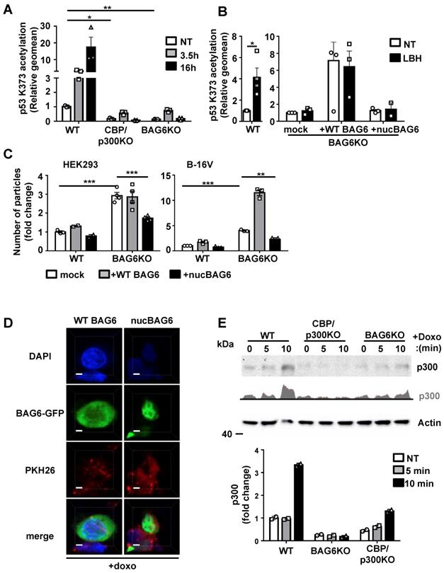 Exosome-dependent immune surveillance at the metastatic niche requires ...