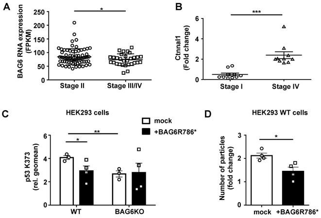 Exosome-dependent immune surveillance at the metastatic niche requires ...