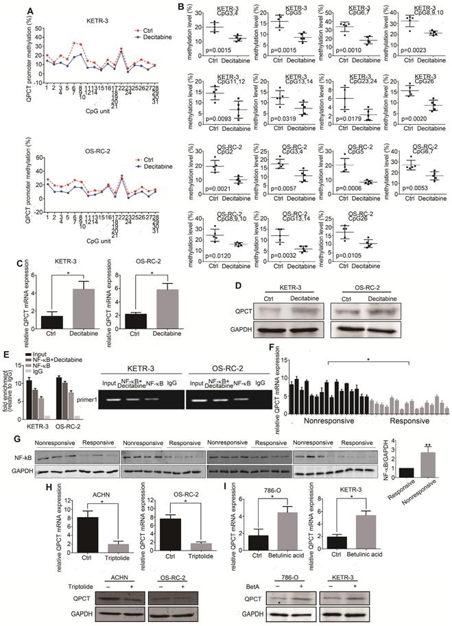 DNA methylation-regulated QPCT promotes sunitinib resistance by ...