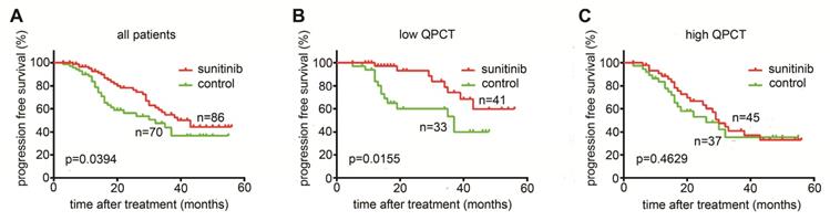 DNA methylation-regulated QPCT promotes sunitinib resistance by ...