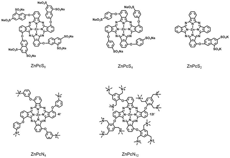 Water-Soluble Phthalocyanines Selectively Bind to Albumin Dimers: A ...