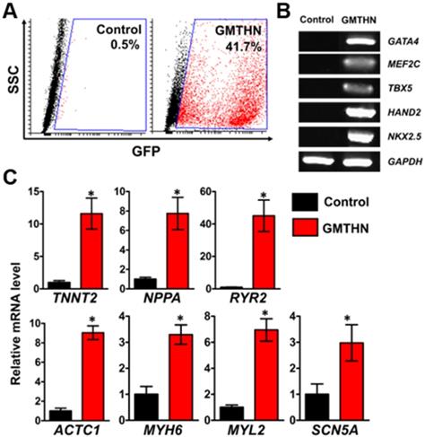 Cardiac-mimetic cell-culture system for direct cardiac reprogramming