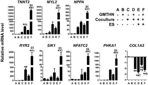 Cardiac-mimetic cell-culture system for direct cardiac reprogramming