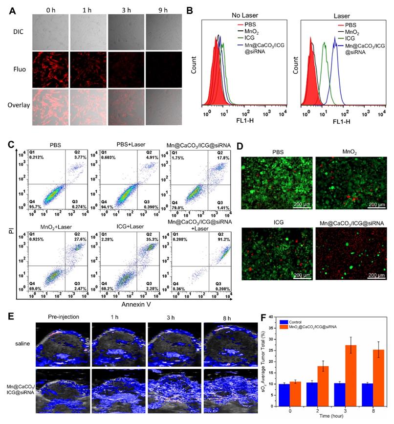 A tumor microenvironment responsive biodegradable CaCO3/MnO2- based ...