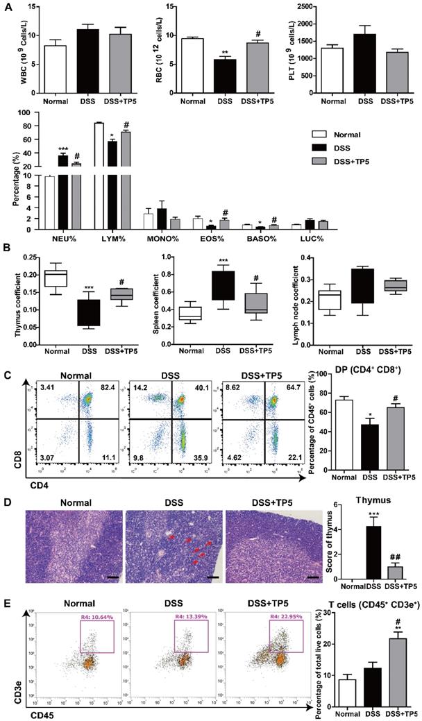 Thymopentin ameliorates dextran sulfate sodium-induced colitis by ...