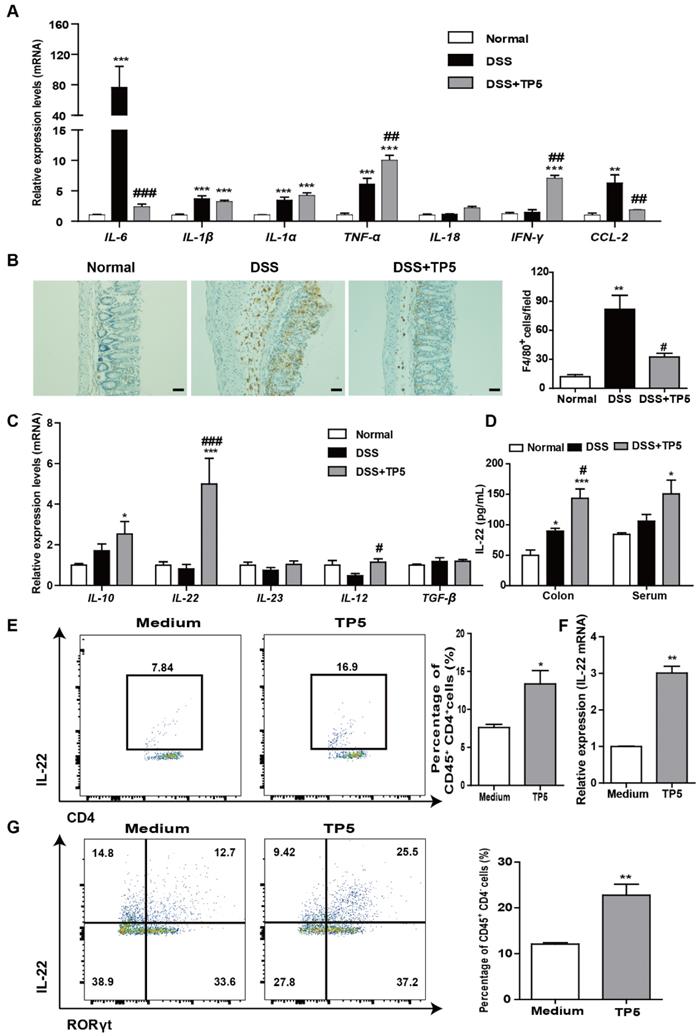 Thymopentin ameliorates dextran sulfate sodium-induced colitis by ...