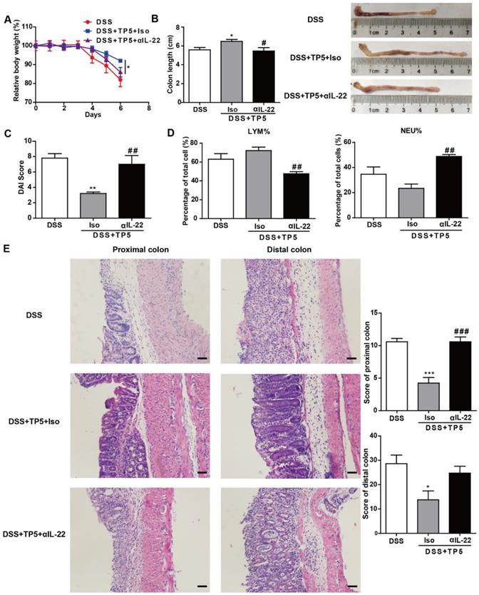 Thymopentin ameliorates dextran sulfate sodium-induced colitis by ...
