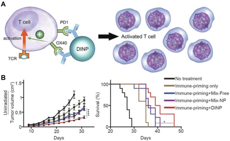 Nanoparticle Delivery of Immunostimulatory Agents for Cancer Immunotherapy