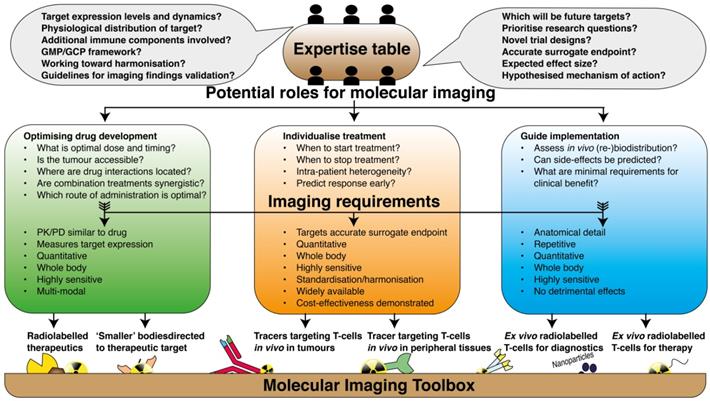 Imaging of T-cells and their responses during anti-cancer immunotherapy