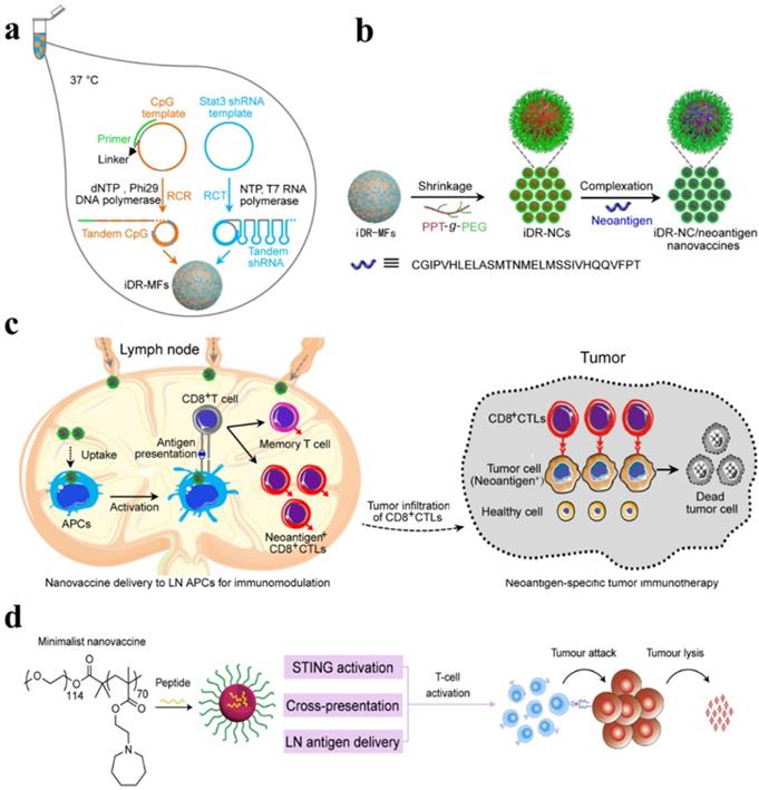 Engineering Nanoparticles to Reprogram the Tumor Immune ...
