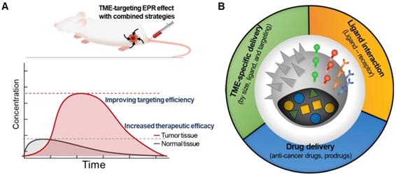 Alliance with EPR Effect: Combined Strategies to Improve the EPR Effect ...